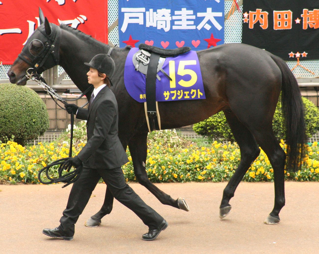 Thoroughbred Horse – Science Spinning