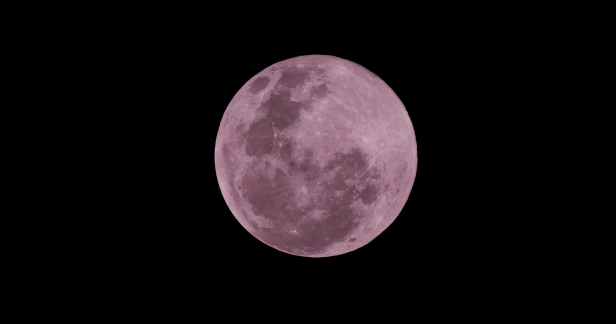 Pink moon visible in Irish skies early tomorrow morning – here’s how ...